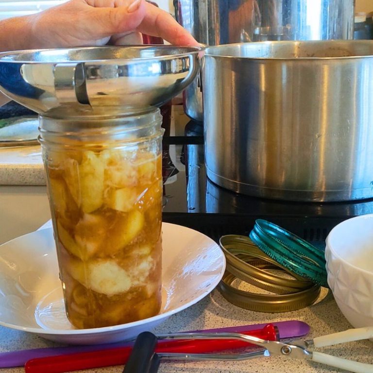 Learn to Preserve Food | Beginner Canning Course